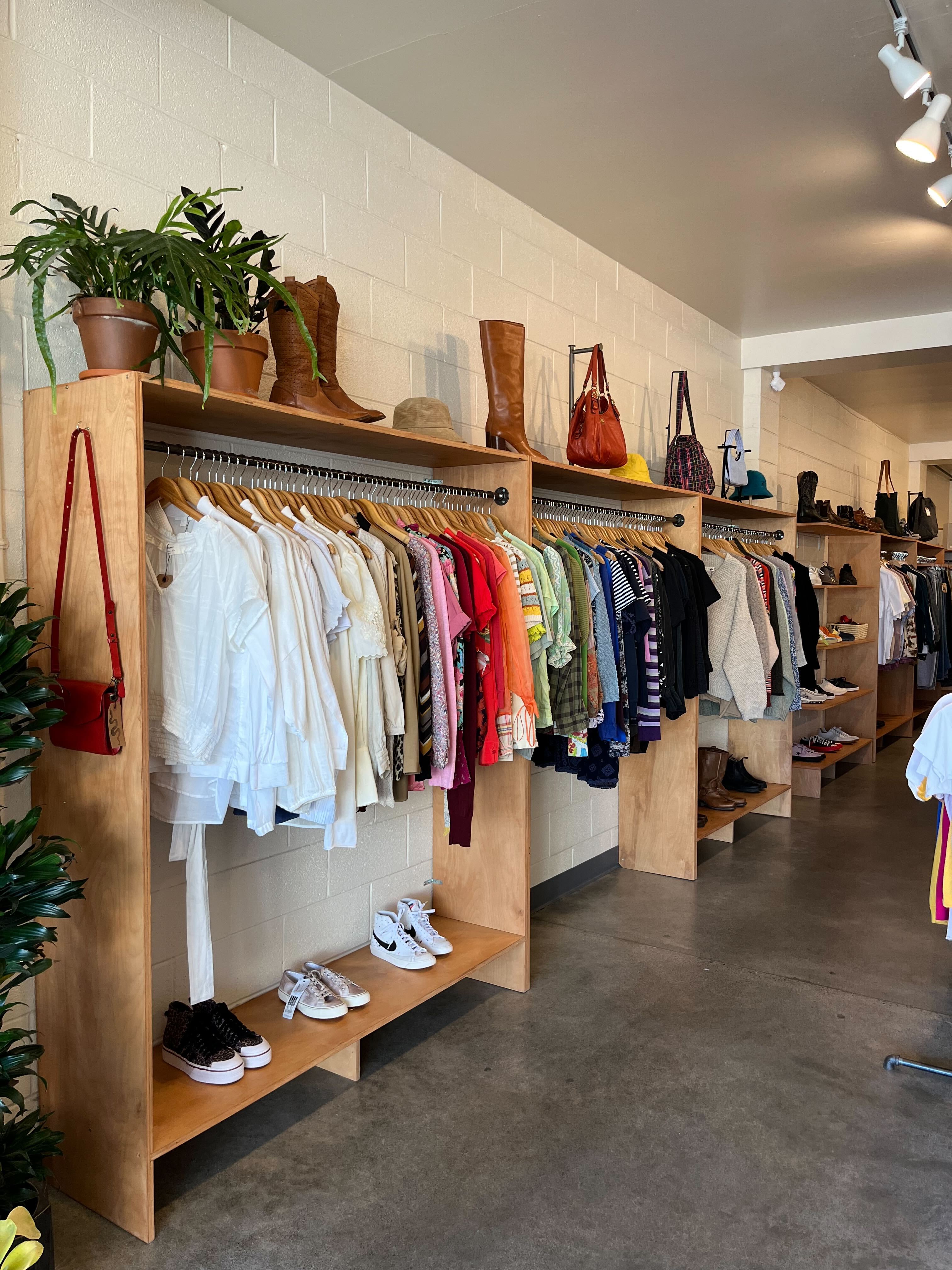 New Consignor FAQs – Creature Consignment